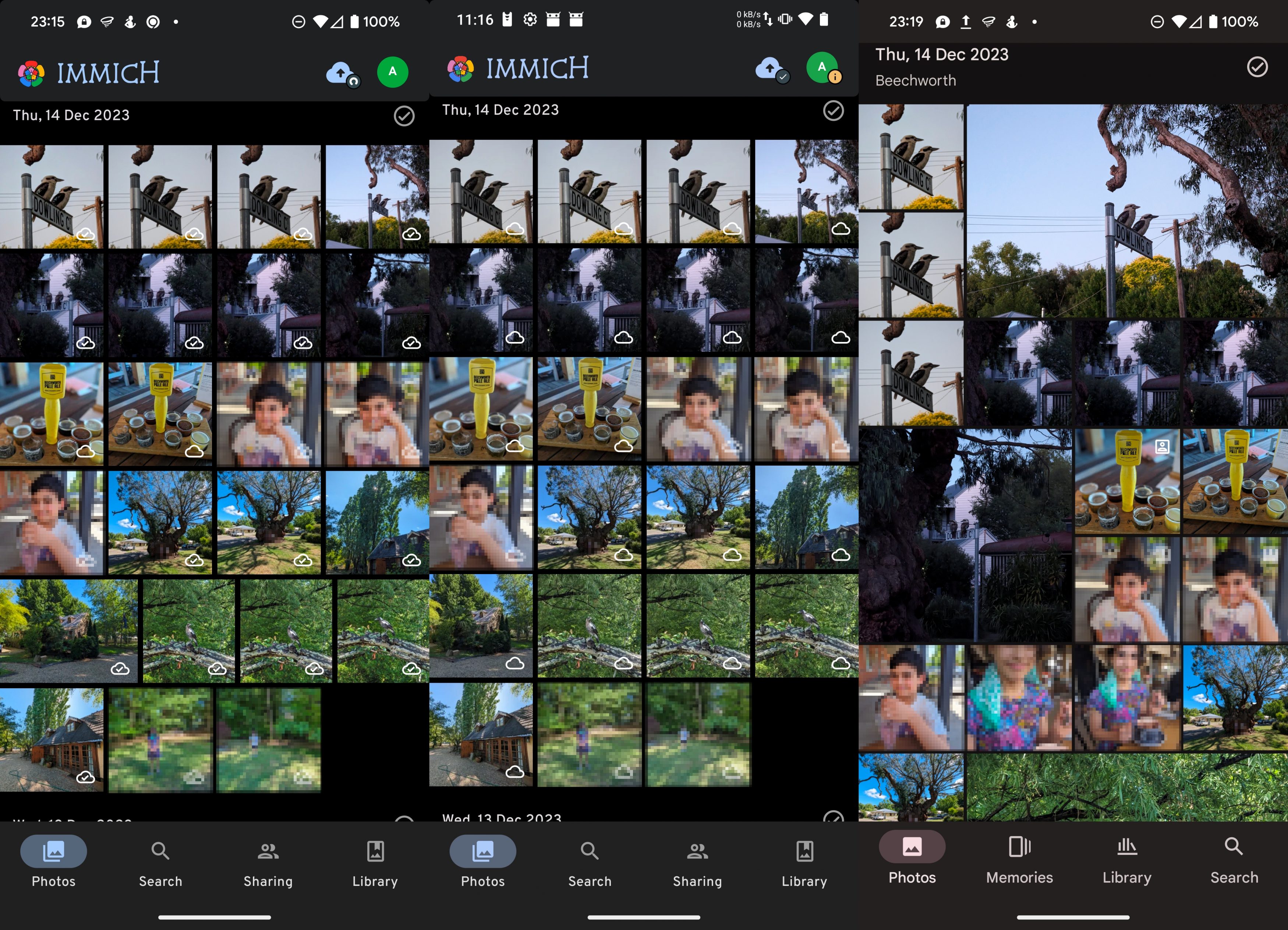 Self hosted Google Photos - Meet Immich | techThreads